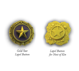 What the Military Community Needs to Know About Gold Star Families ...